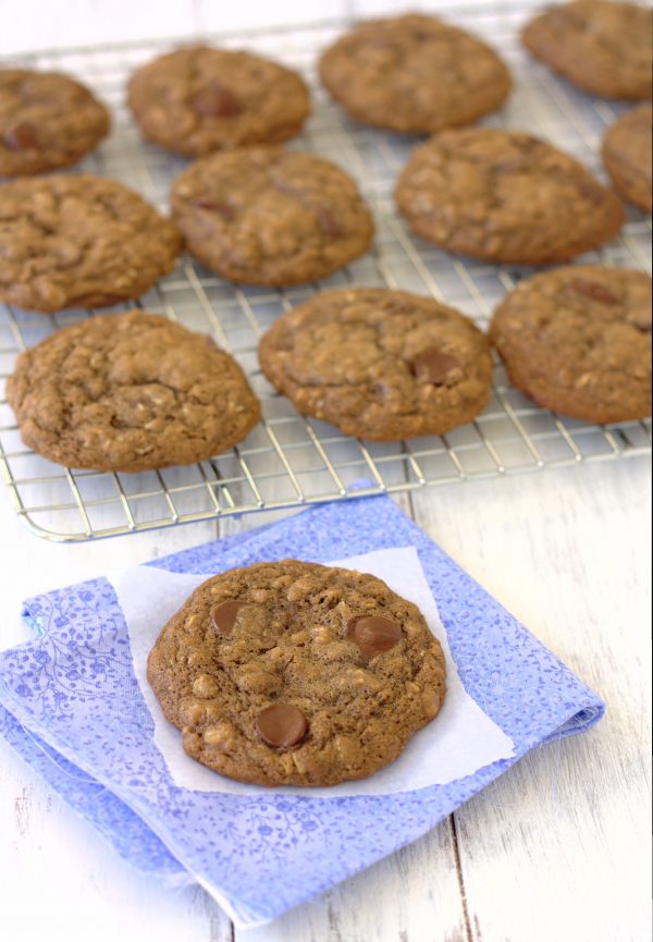 Cocoa Oatmeal Chocolate Chip Cookies